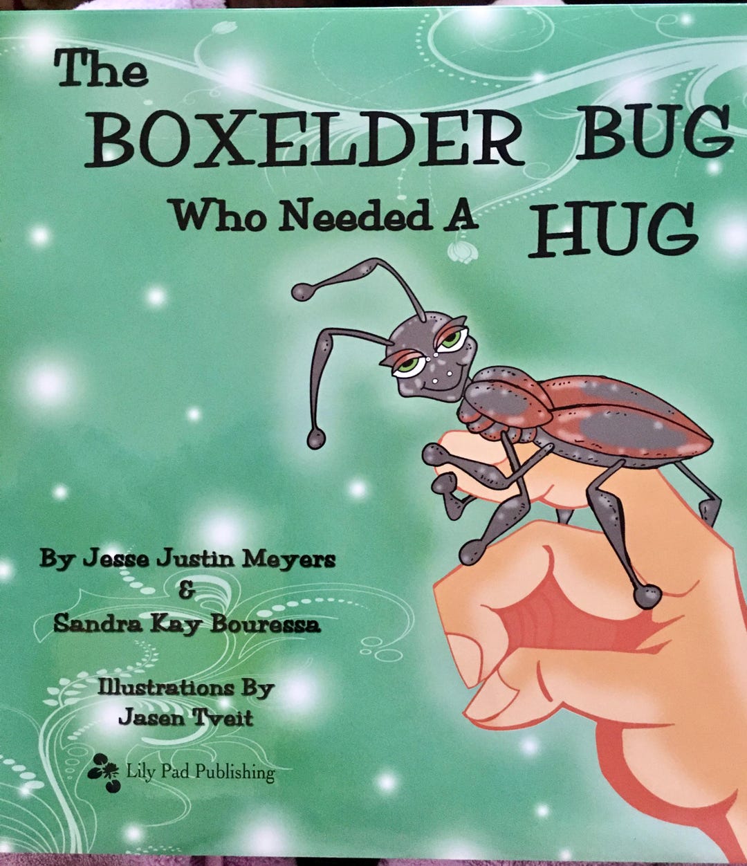 The Boxelder Bug Who Needed a Hug - Etsy