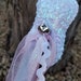 Tooth Fairy Wand/tooth Fairy Princess Wand/tooth Style Wand/tooth Wand ...