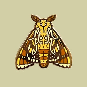 Moth Hard Enamel Pin 1.25”, Entomology Pin - Etsy
