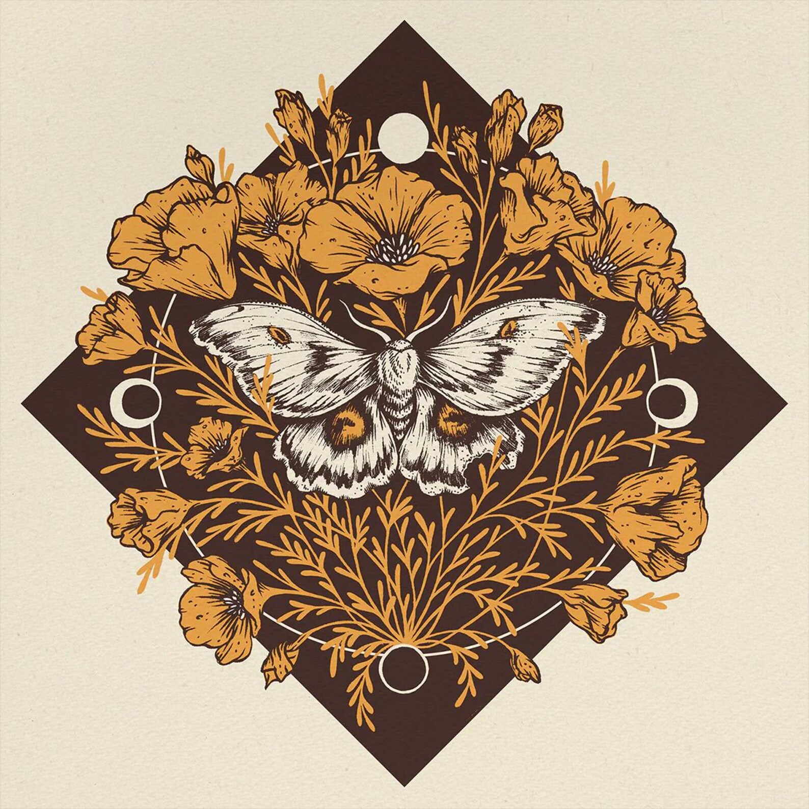 Polyphemus Moth Art Print: California Poppies, Moon Phases Giclee ...