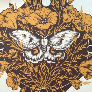 By the Moonlight, Polyphemus Moth, California Poppies, Moon Phases, Two ...