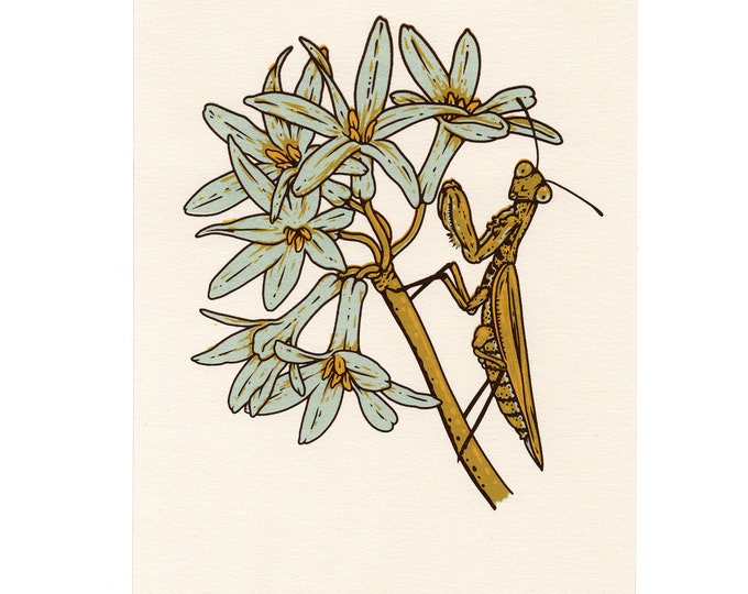 Praying Mantis 6x8 Screenprint - Etsy