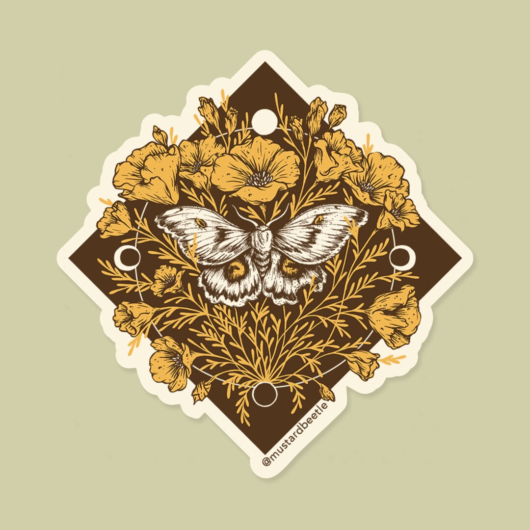 Polyphemus Moth & California Poppies, Moon Phases, Geometric ...