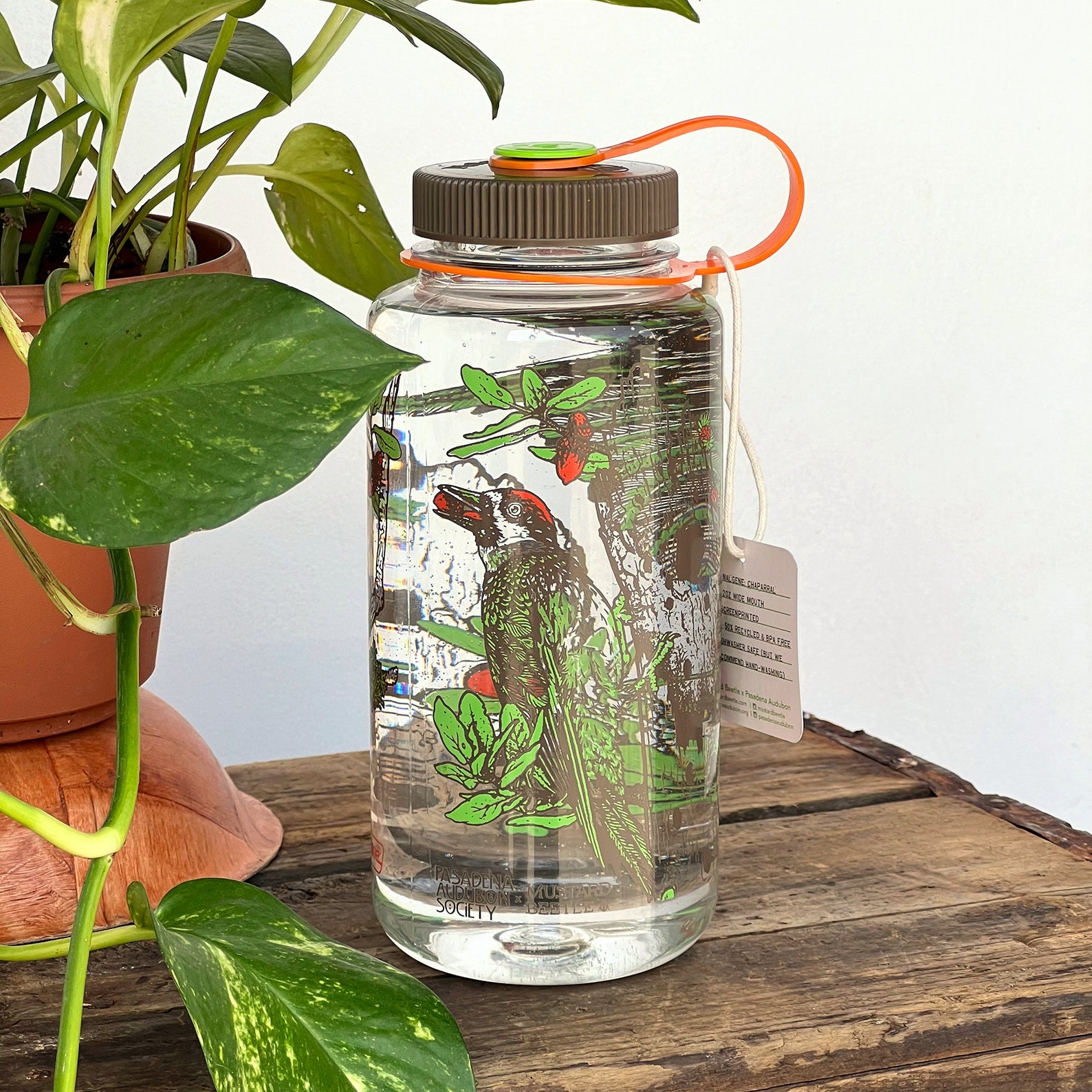 32oz Wide Mouth Nalgene Water Bottle: Chaparral, Acorn Woodpecker ...