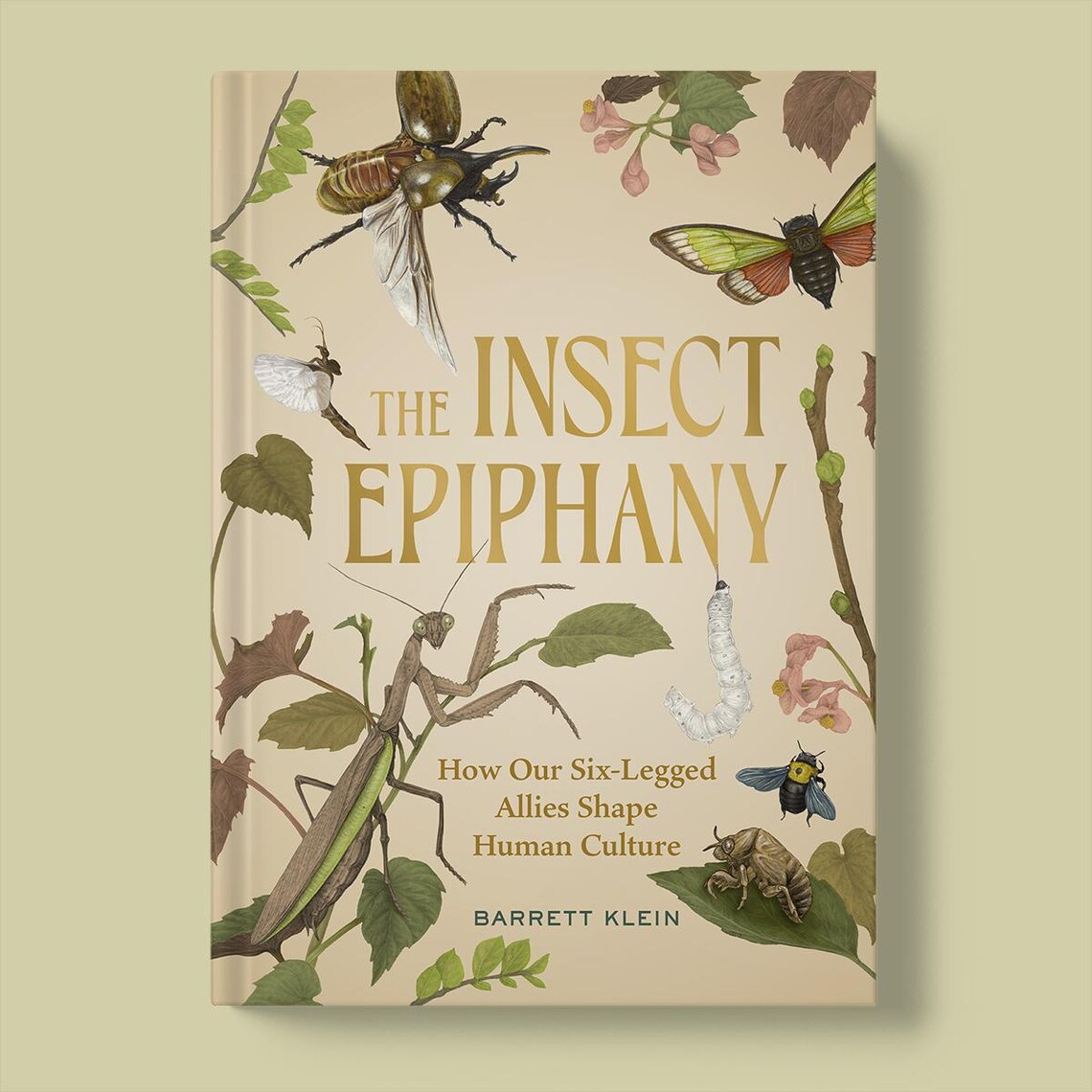 The Insect Epiphany: Entomology, Culture & Civilization Hardcover - Etsy