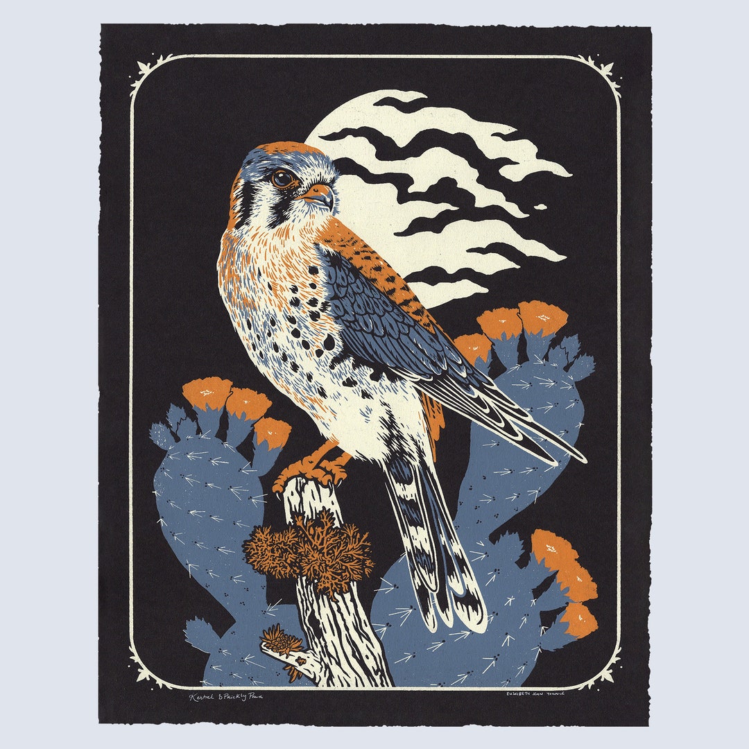 Kestrel & Prickly Pear Cactus 11x14" Screenprint, Art Print on Paper - Etsy
