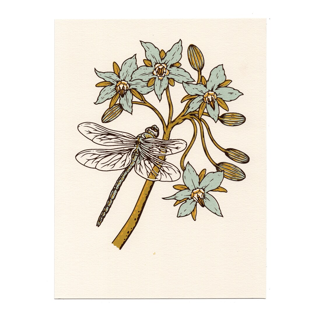 Dragonfly 6x8 Screenprint - Etsy