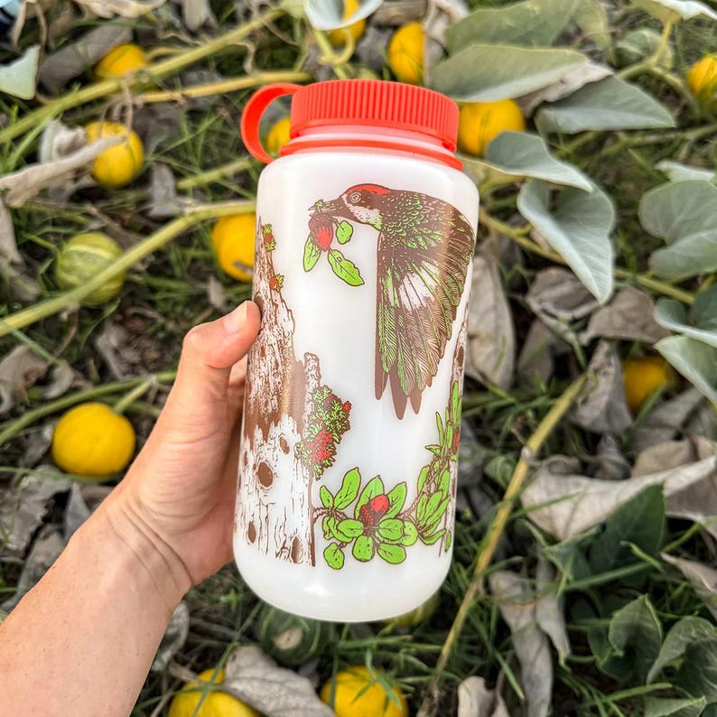 Nalgene 32oz: Chaparral for Pasadena Audubon (acorn Woodpecker and ...