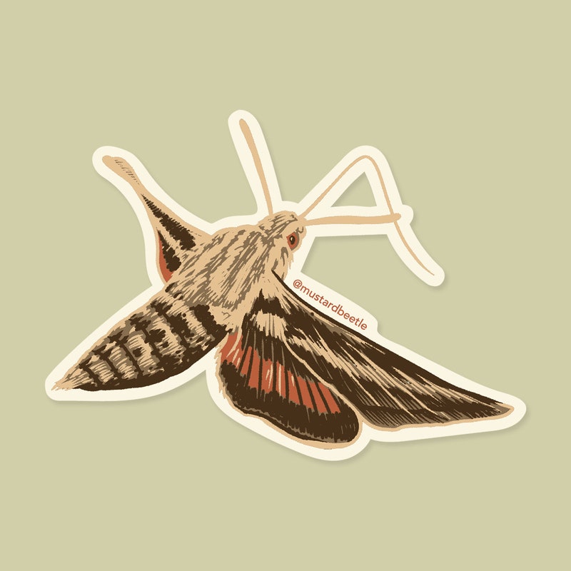 Hummingbird Moth - Etsy
