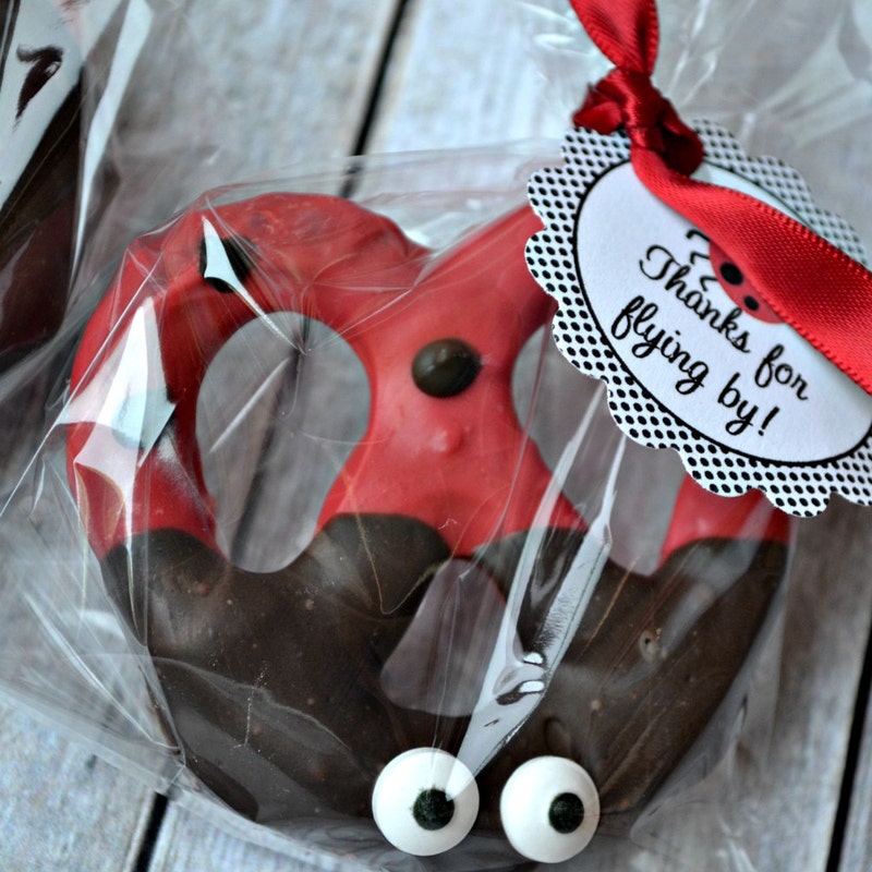 Ladybug Candy - Etsy