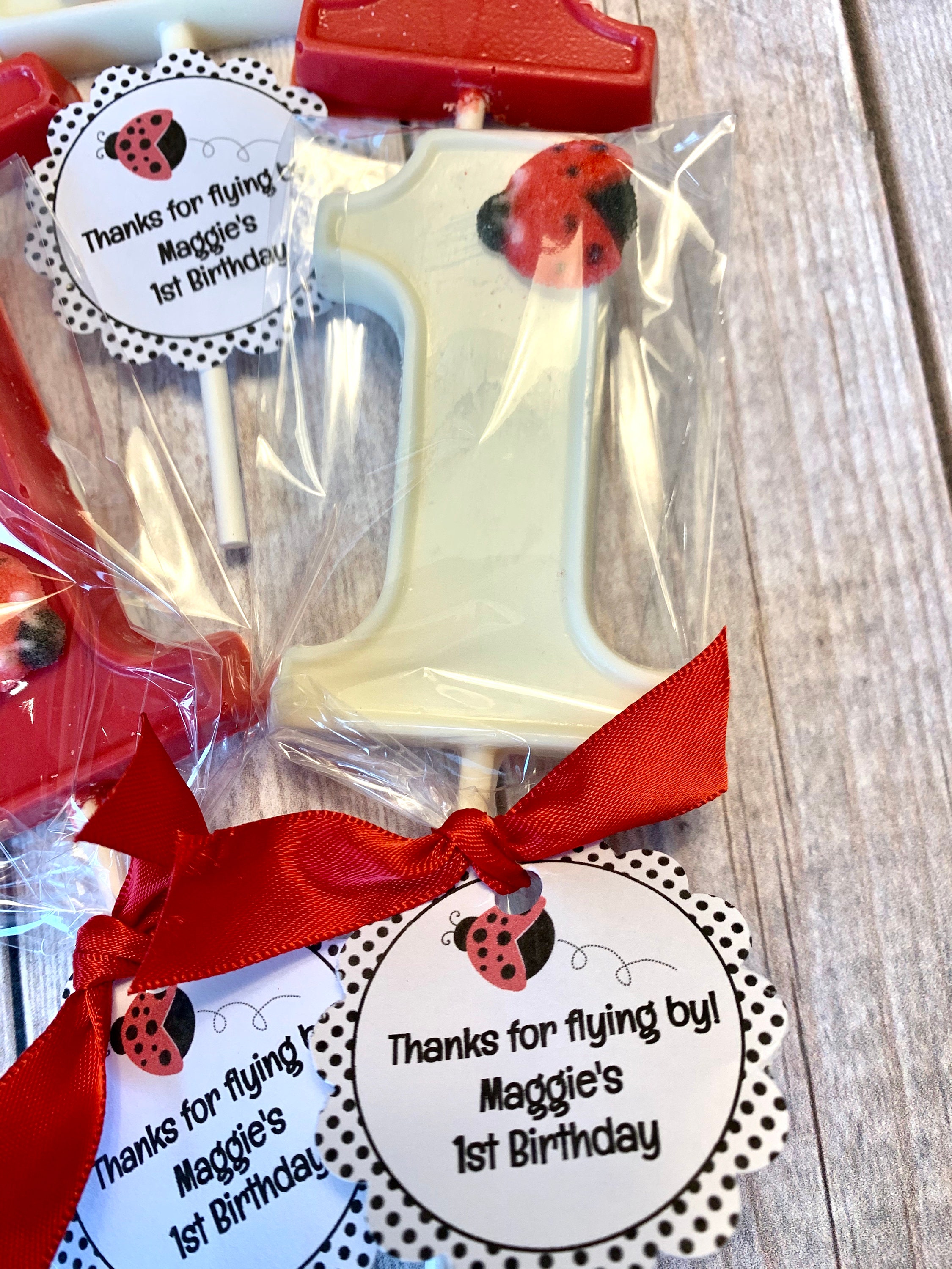 Ladybug Chocolate Lollipop Ladybug 1st Birthday Ladybug | Etsy