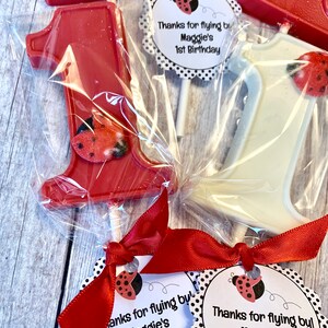 Ladybug Chocolate Lollipop - Ladybug 1st Birthday - Ladybug Birthday ...