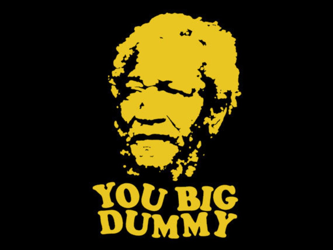 FUNNY TSHIRT You Big Dummy T-shirt Hip Hop Comedy Legend Mens Womens ...