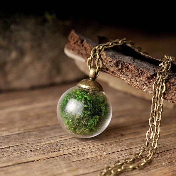 Terrarium Necklace - Etsy