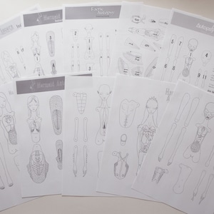 Anatomy Paper Doll Colouring Book - Print Colour & Assemble - Etsy