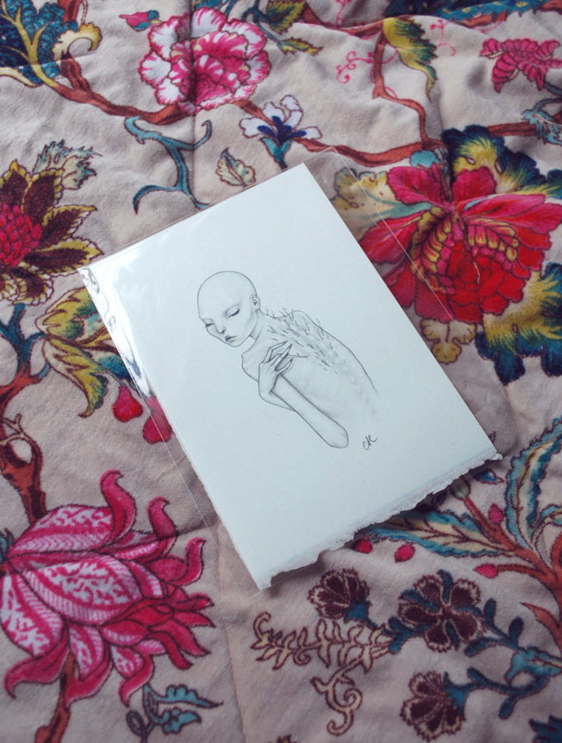 Original Graphite Drawing pluck - Etsy