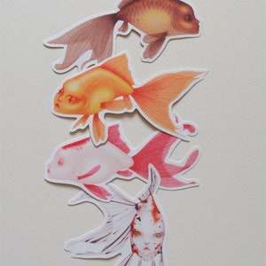 Goldfish Girls Sticker Set - Etsy