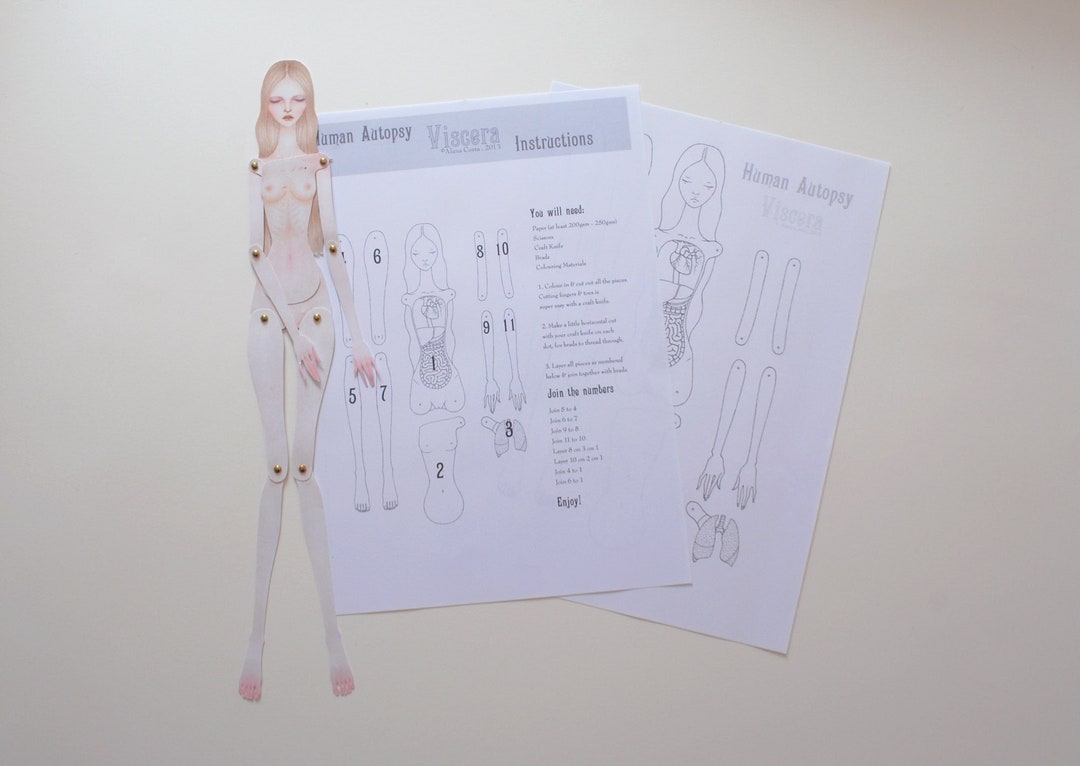 Human Anatomy Paper Doll Colouring Page - Print Colour & Assemble - Etsy
