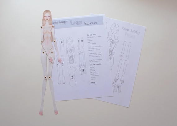 Human Anatomy Paper Doll Colouring Page Print Colour & | Etsy
