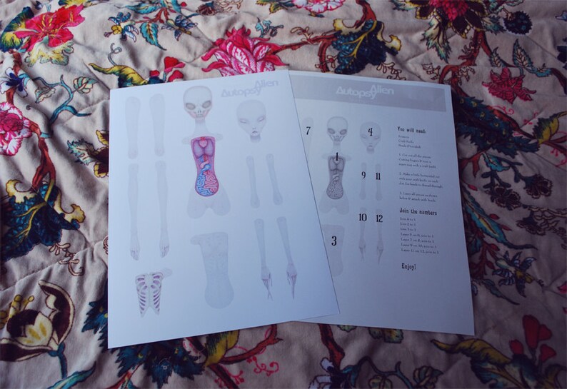 Digital Download** Lift-the-flap Anatomy Paper Doll: Alien - Etsy
