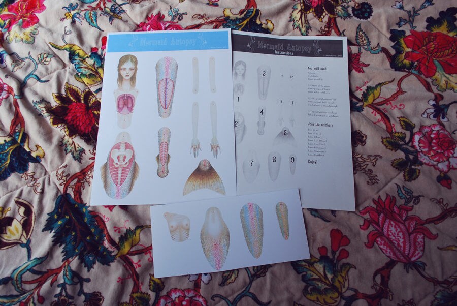 Set of 5 Paper Anatomy Dolls Human Mermaid Alien Harpy & - Etsy Canada