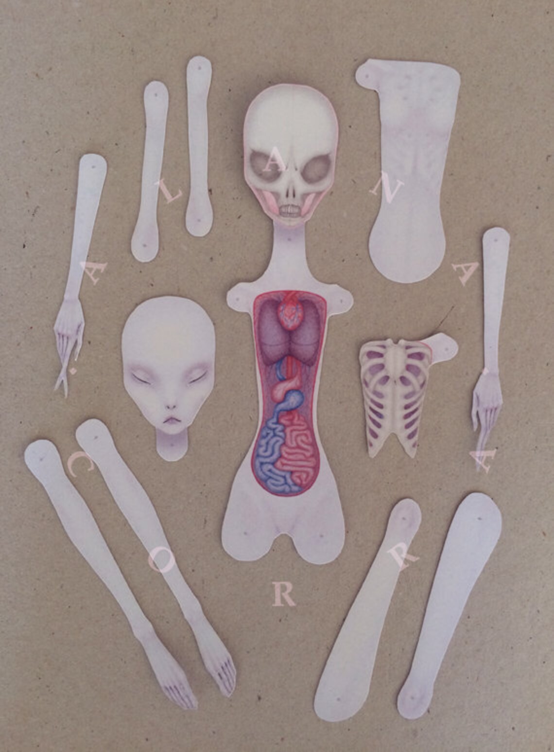 Lift-the-flap Anatomy Paper Doll: Alien - Etsy