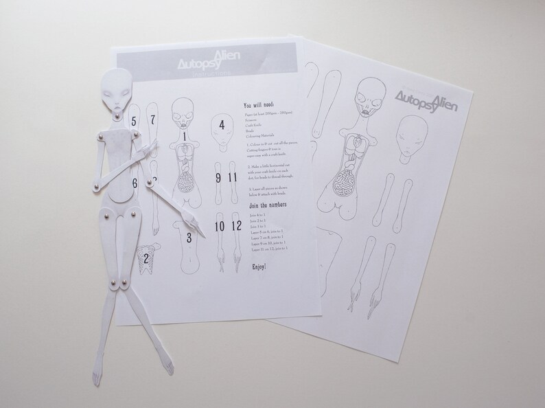 Anatomy Paper Doll Colouring Book Print Colour & Assemble | Etsy