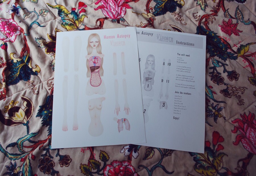 Lift-the-flap Anatomy Paper Doll: Human Viscera - Etsy