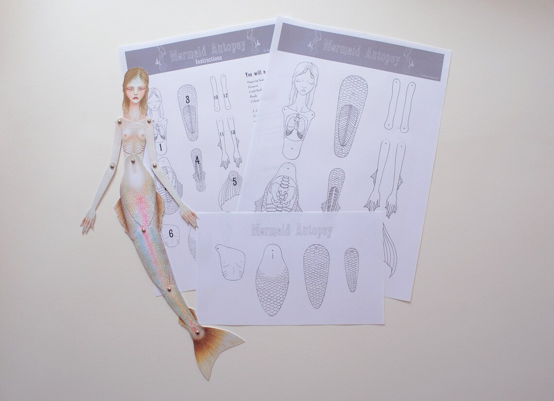 Anatomy Paper Doll Colouring Book Print Colour & Assemble | Etsy