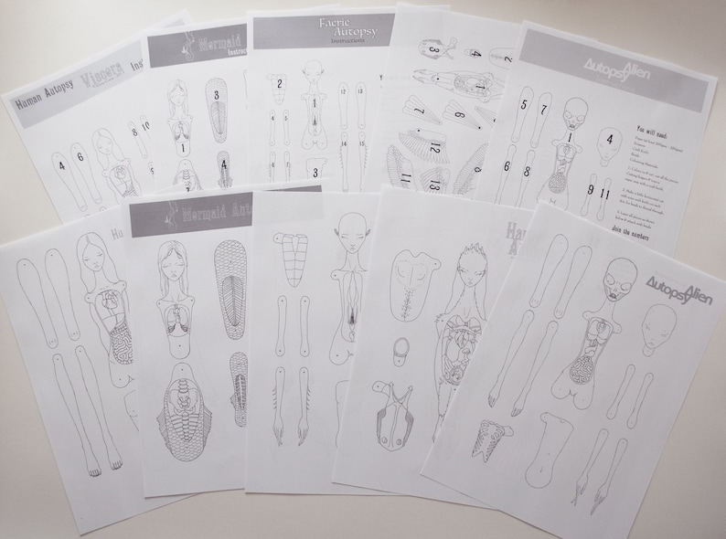 Anatomy Paper Doll Colouring Book Print Colour & Assemble - Etsy