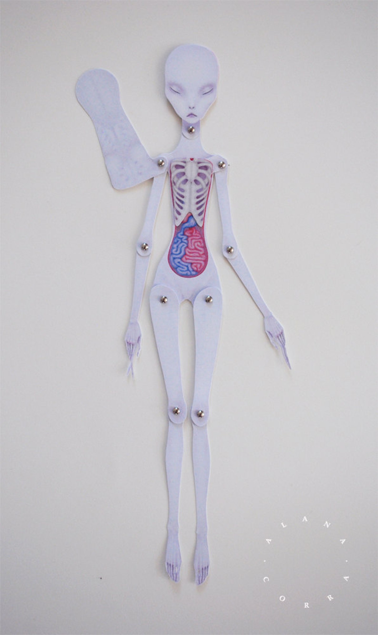 Lift-the-flap Anatomy Paper Doll: Alien - Etsy