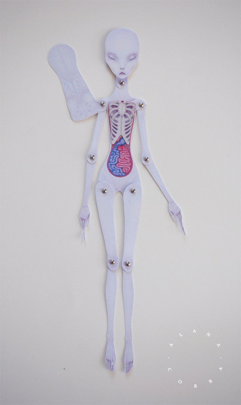 Lift-the-flap Anatomy Paper Doll: Alien - Etsy