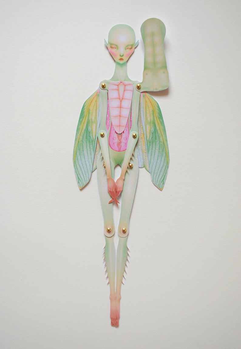 Lift-the-flap Anatomy Paper Doll: Faerie | Etsy