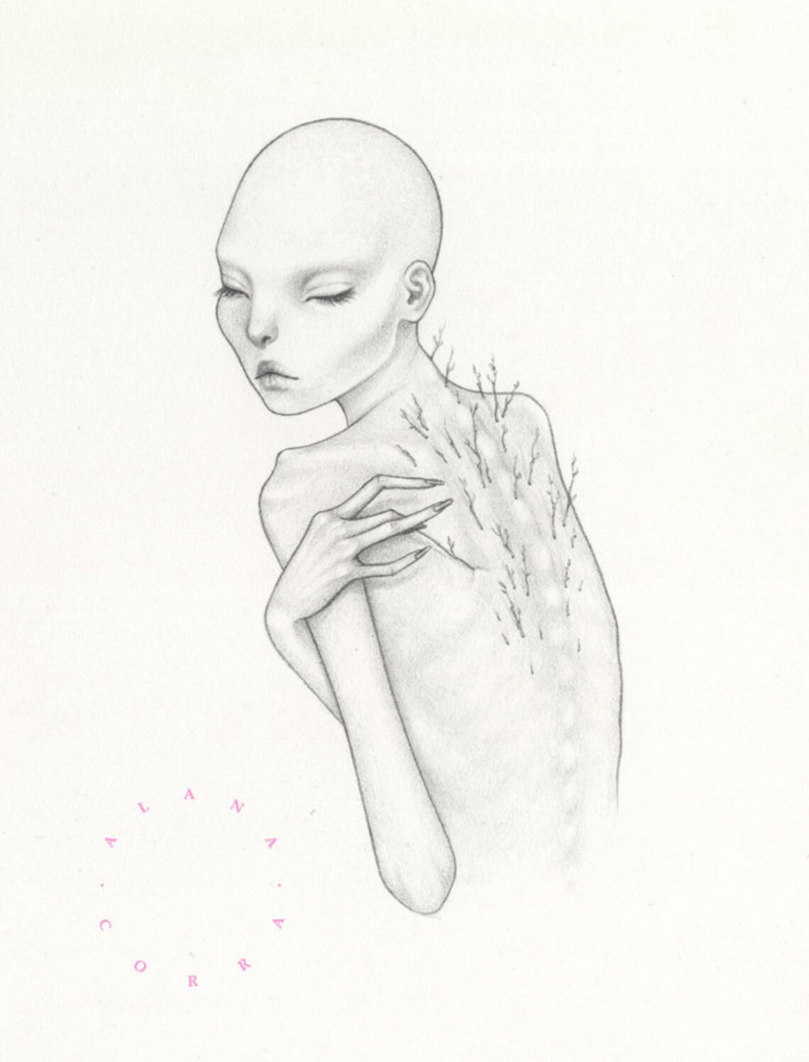 Original Graphite Drawing pluck - Etsy