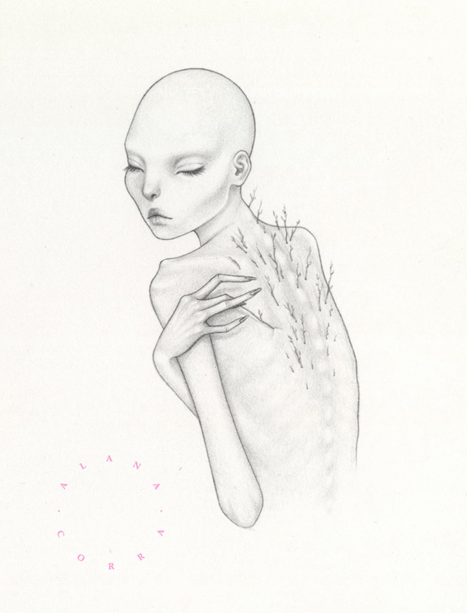 Original Graphite Drawing pluck - Etsy