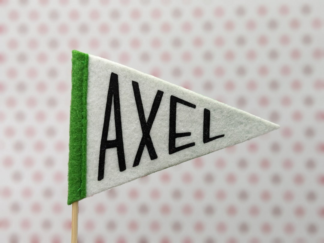 Custom Name Pennant on a Stick: Felt Personalized Mini Pennant, Small ...