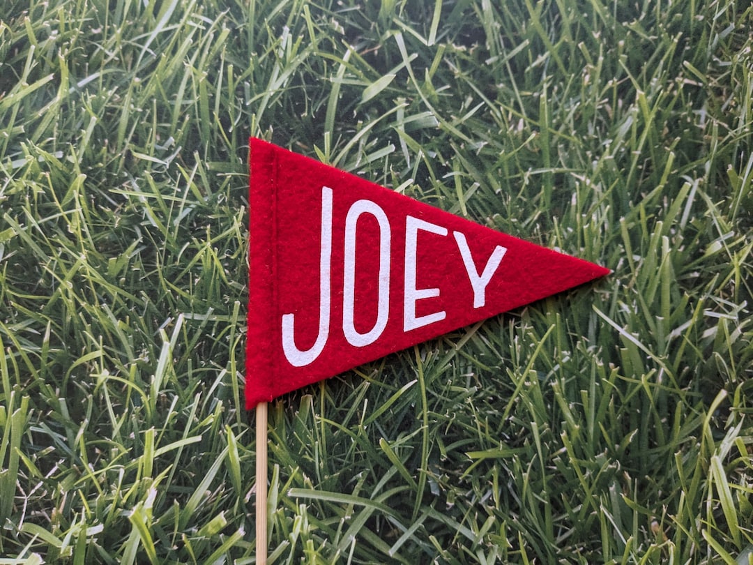 Felt Name Pennant on a Stick: Personalized Mini Pennant, Small Triangle ...