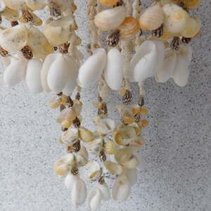 Vintage 13 Inch Seashell Chandelier, Boho Hanging Shell Decor, Chula ...
