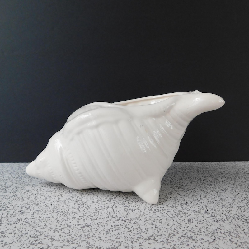 Conch Shell Planter - Etsy