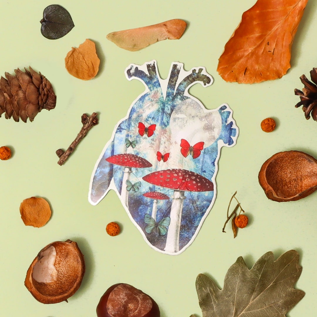 Fairy Heart Sticker Anatomy Heart Fairycore Cottagecore Mushroom ...