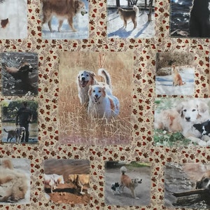 Memory Quilt With Photo Fabric! (children) (baby) (dogs) (cats ...