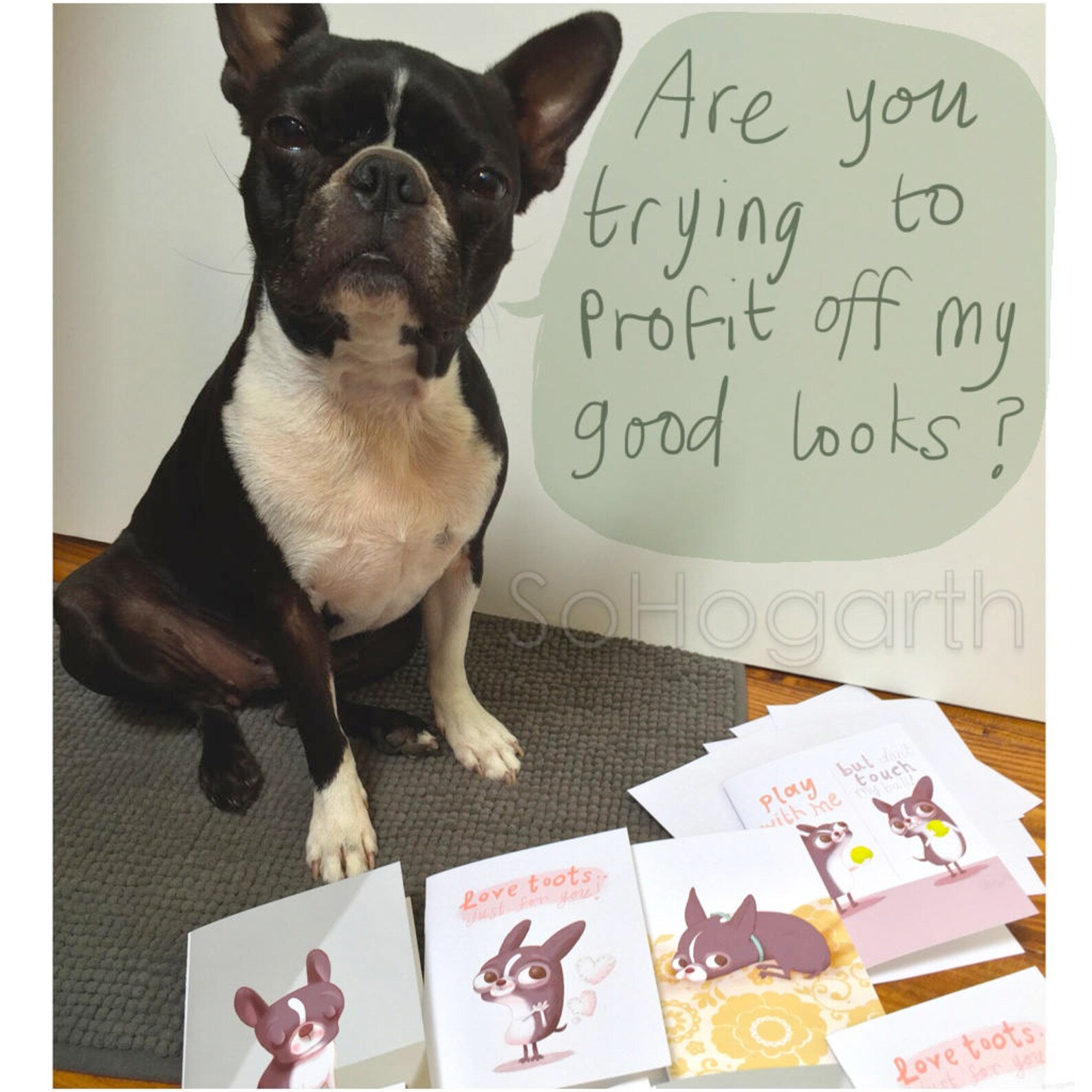 Boston Terrier Bed Bug. Matte Paper Dog Illustration Portrait Art ...