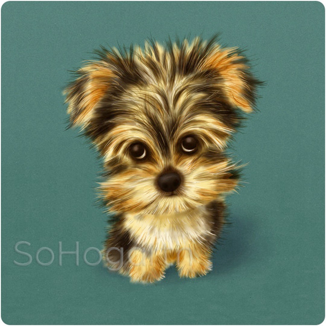 Teacup Yorkie. 8x11" Yorkshire Terrier Matte Paper Art Dog Print ...
