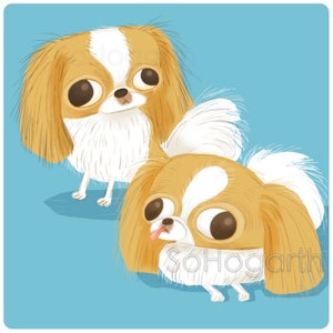 Japanese Chins Black & White, Sable. Matte Paper Dog Art Poster Print ...