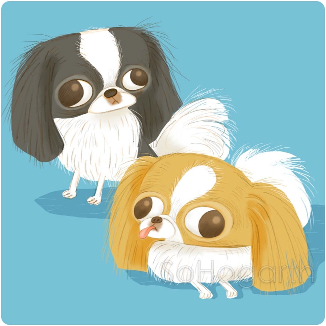 Japanese Chins Black & White, Sable. Matte Paper Dog Illustration Art ...