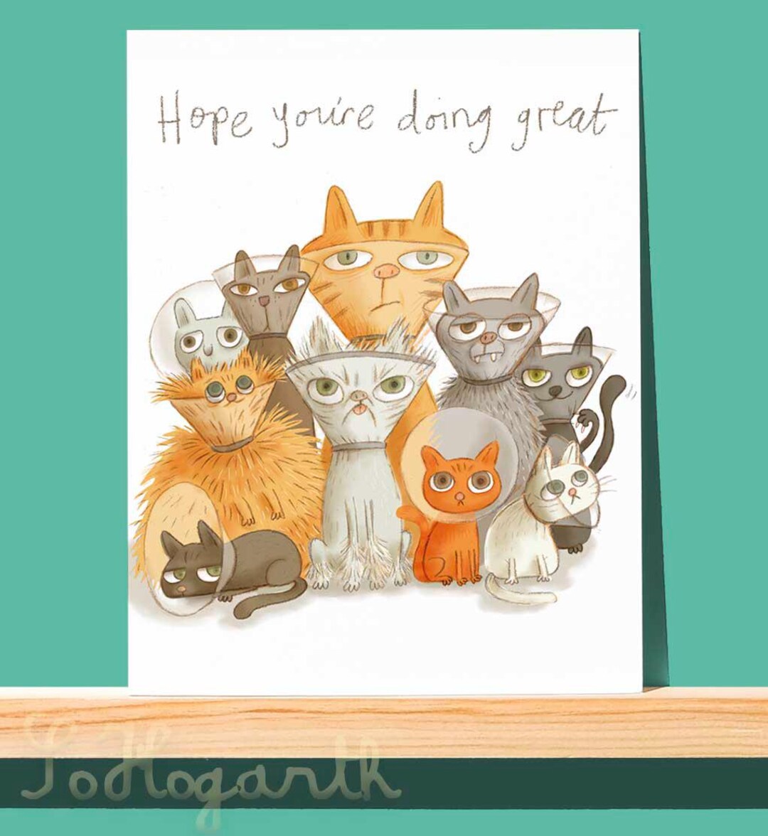 Cats in Cones Get Well Soon Sympathy Notecards, Set of 2. Cute Pair of ...