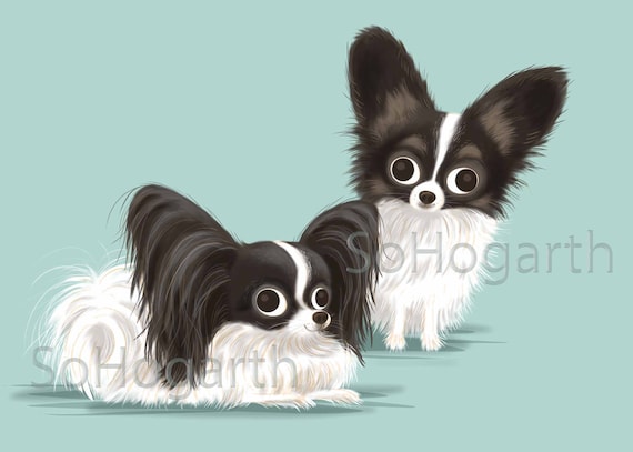 Papillon Duo Black and White. 8x11 Matte Paper Dog Art Print - Etsy