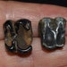 Five Excellent Mini to Small Fossilized Gar Fish Scales in a Gem Jar ...