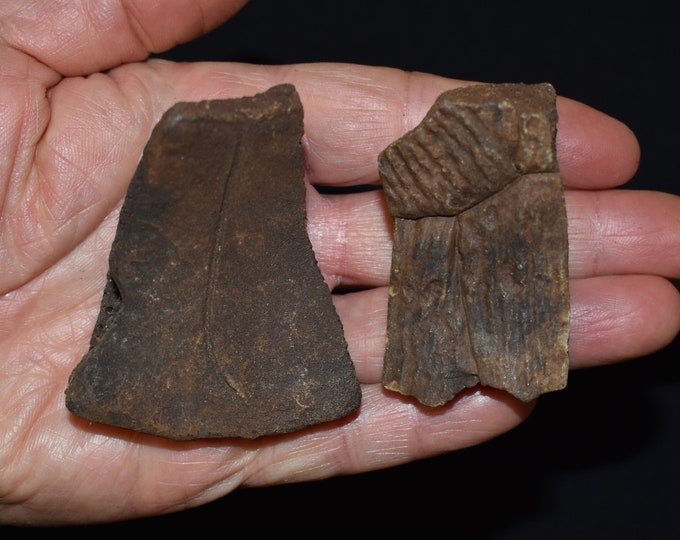 Pair Of Large Fossilized Turtle Shell Peripheral Elements Shell Edge