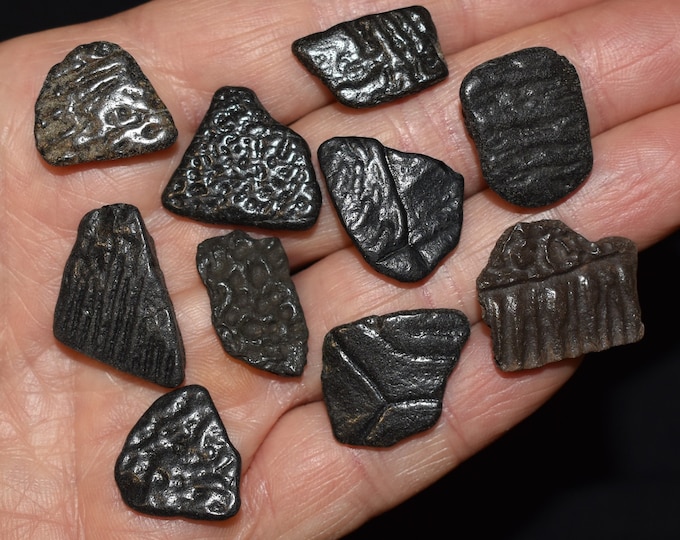 Group of 10 Small Beautiful River Polished Fossilized Turtle Shell ...